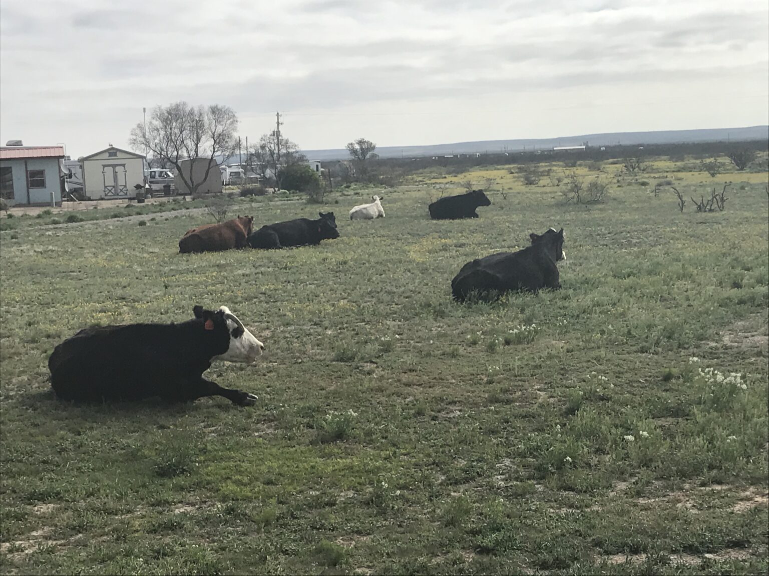 The Original Ranch – A Place To Call Home